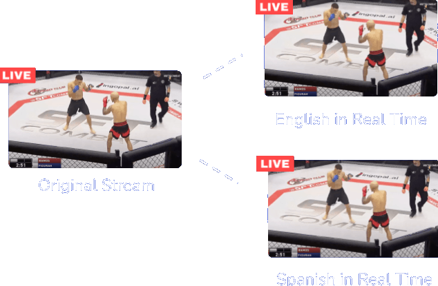Lingopal.Ai- Best AI Platform for Translation and Transcription ...
